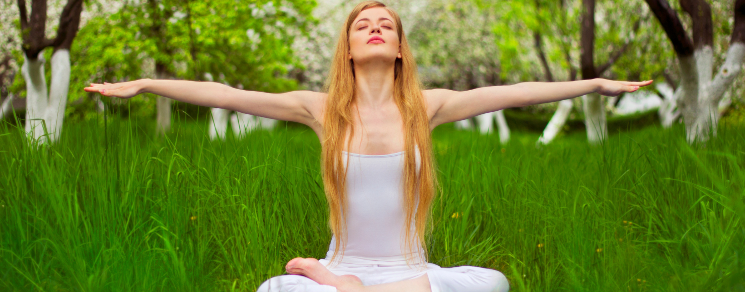 plantomol – hochwertige & reine Nahrungsergänzungsmittel für Dich