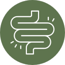 plantomol – hochwertige & reine Nahrungsergänzungsmittel für Dich